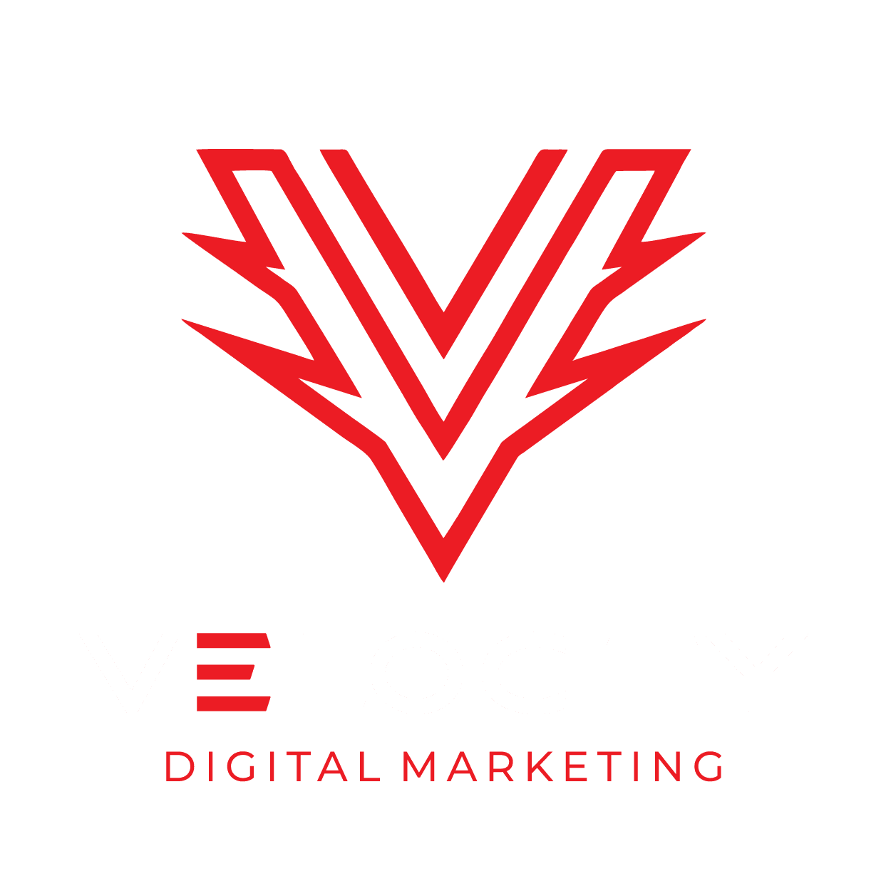 Velocity - Digital Marketing Agency | We Promise Results
